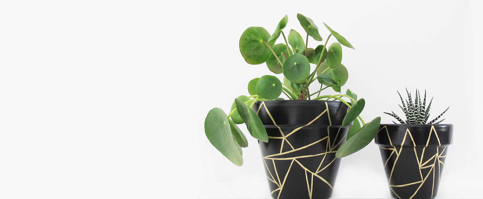 Flower Shop – Fiorello