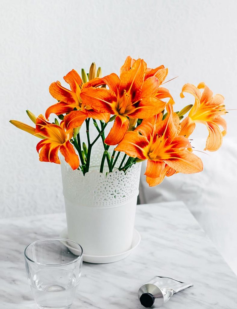 Carousel Showcase – Fiorello